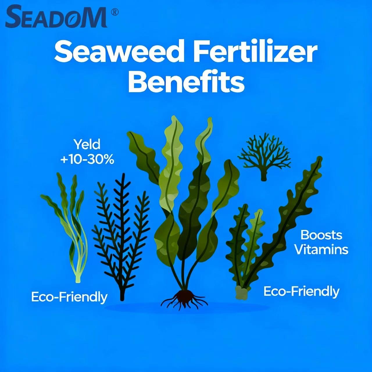 🌿 Seaweed Fertilizer: Application Efficacy (5) - seadom.com.cn